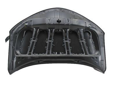 53301-42110 Genuine Toyota Hood Sub-Assembly