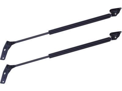 68960-0K020 Genuine Toyota Stay Assembly, Back Door