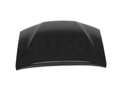 53301-0K101 Genuine Toyota Hood Sub-Assembly