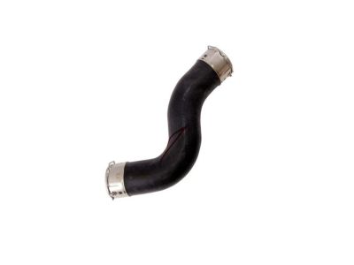 17341-0E021 Genuine Toyota Hose, Air, NO.1