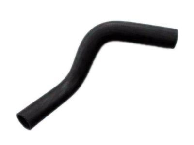 16572-68010 Genuine Toyota Radiator Outlet Hose