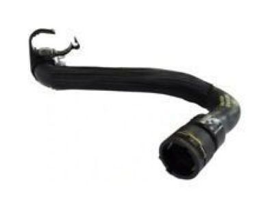 16572-BZ100 Genuine Toyota Radiator Outlet Hose