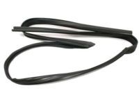 Toyota Corolla Window Run - Guaranteed Genuine Toyota Parts