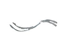 Toyota Corolla Dipstick Tube - Guaranteed Genuine Toyota Parts