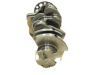 13401-31011 Genuine Toyota CRANKSHAFT Sub-Assembly