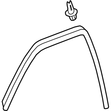 Moulding - 2002 Toyota Tundra