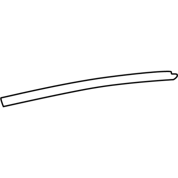 75987-62020 Genuine Toyota Stripe, Rr Door, Out
