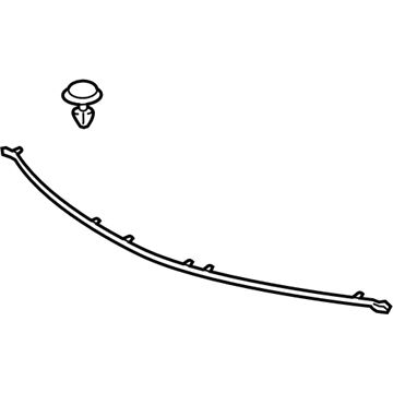 53395-06120 Genuine Toyota Seal, Hood To Front End