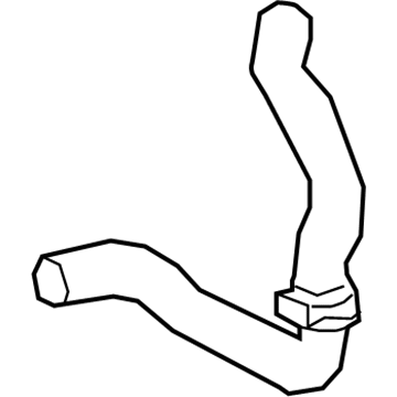 16572-37240 Genuine Toyota Hose, Radiator, NO.2