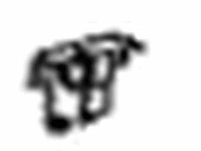 53223-42050 Genuine Toyota Bracket, Radiator Gr